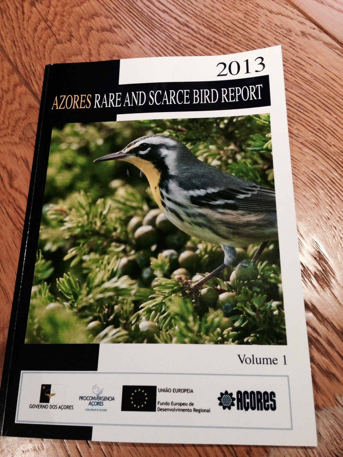 Azores: Rare & Scarce Bird Report 2013 - The Urban Birder